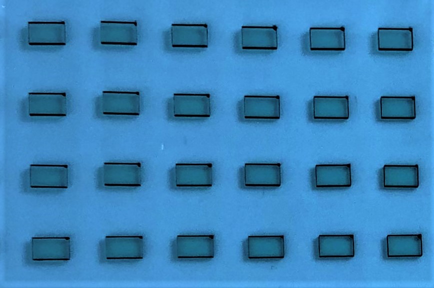 Capsule Manufacturing & Assembly‏ - Pronat